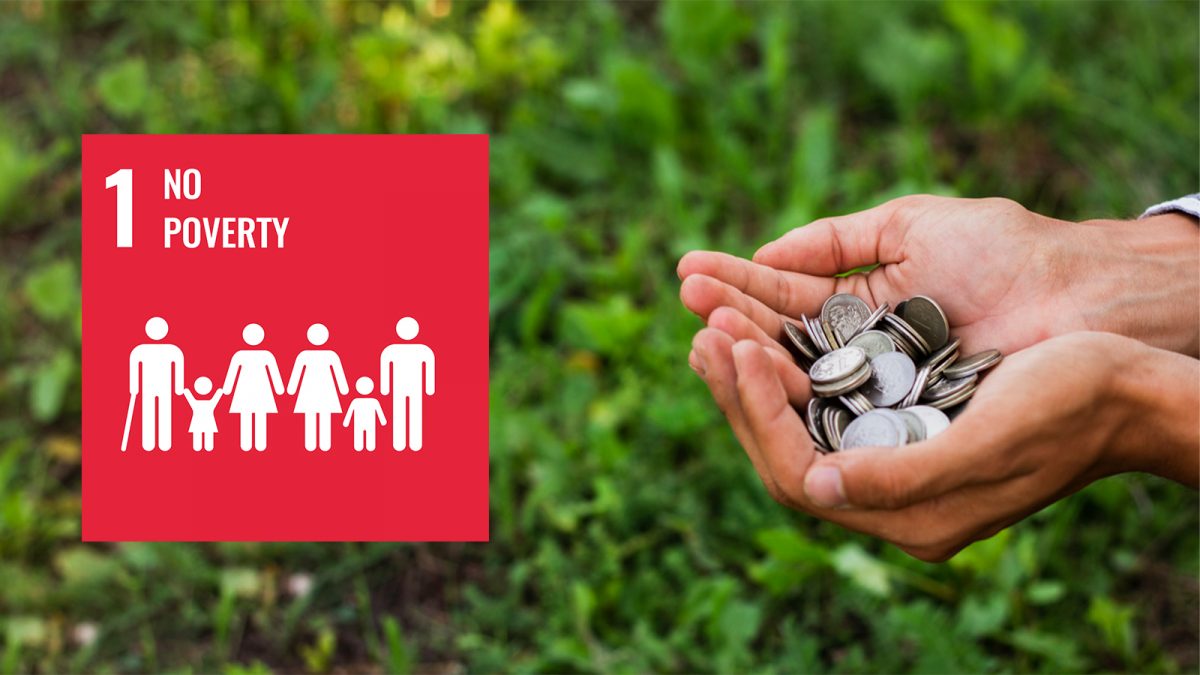 Nazava Water Filters - Annual Report 2022 - Nazava Water Filters ...