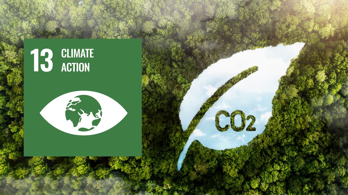 Nazava Water Filters - Annual Report 2022 - Nazava Water Filters ...